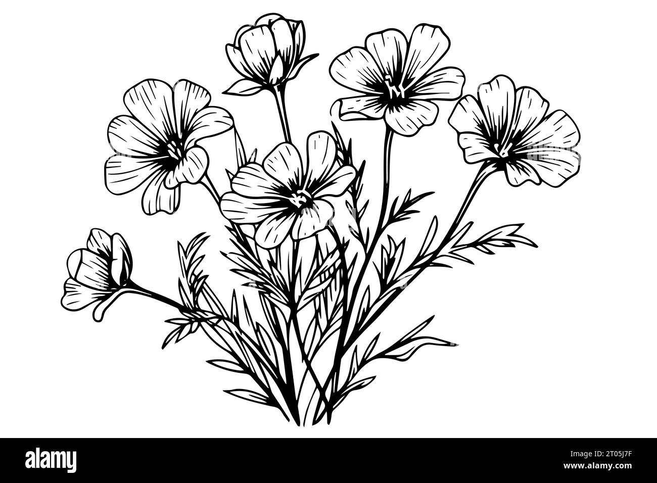 Wild flower hand drawn ink sketch. Engraved retro style vector ...
