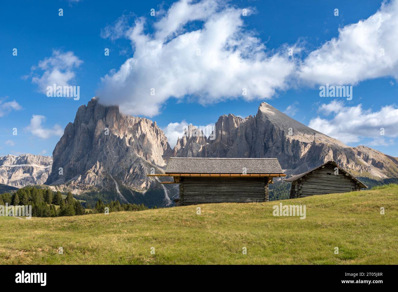 Hut on Seiser Alm, Alpe di Siusi, in front of Langkofel and Plattkofel ...