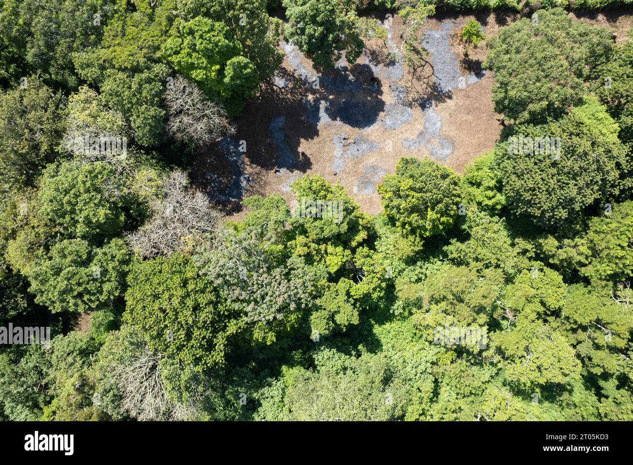 Burn soil in green forest aerila drone view background Stock Photo - Alamy