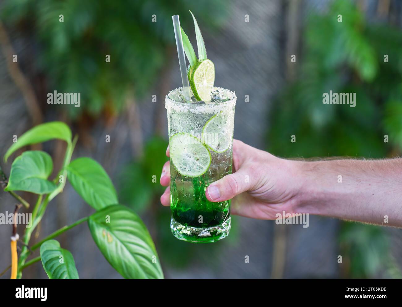 Hand holding panda leaves lemonade with desiccated coconut and green ...