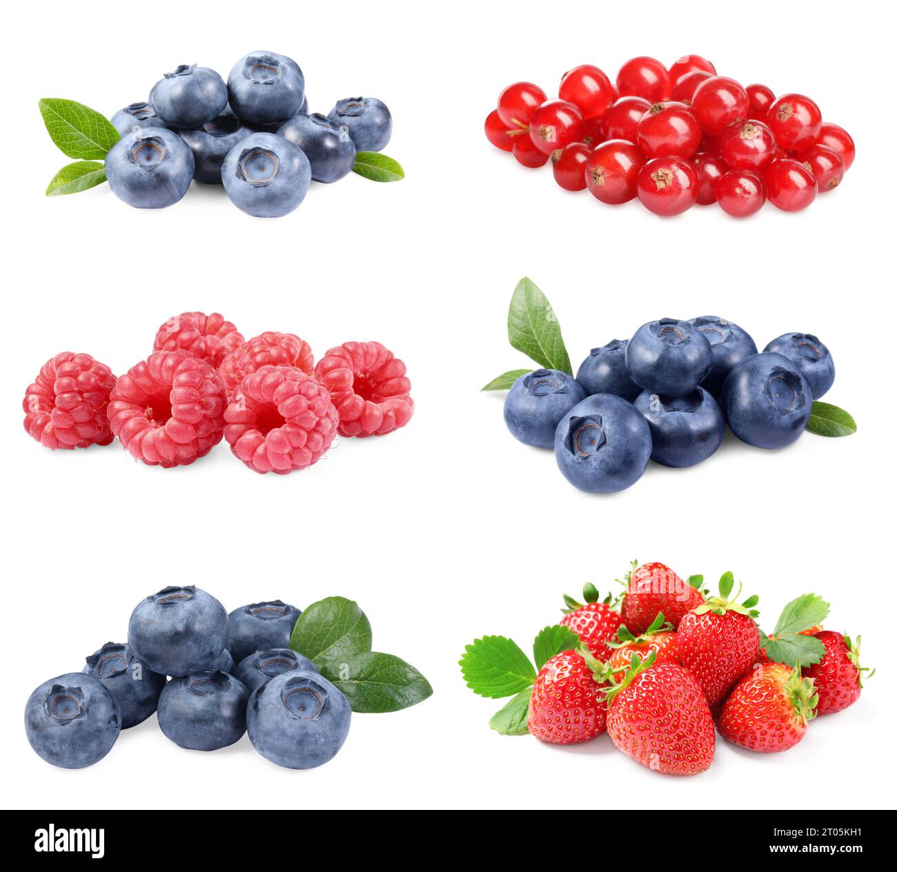 Piles of fresh blueberries and other berries isolated on white, set ...