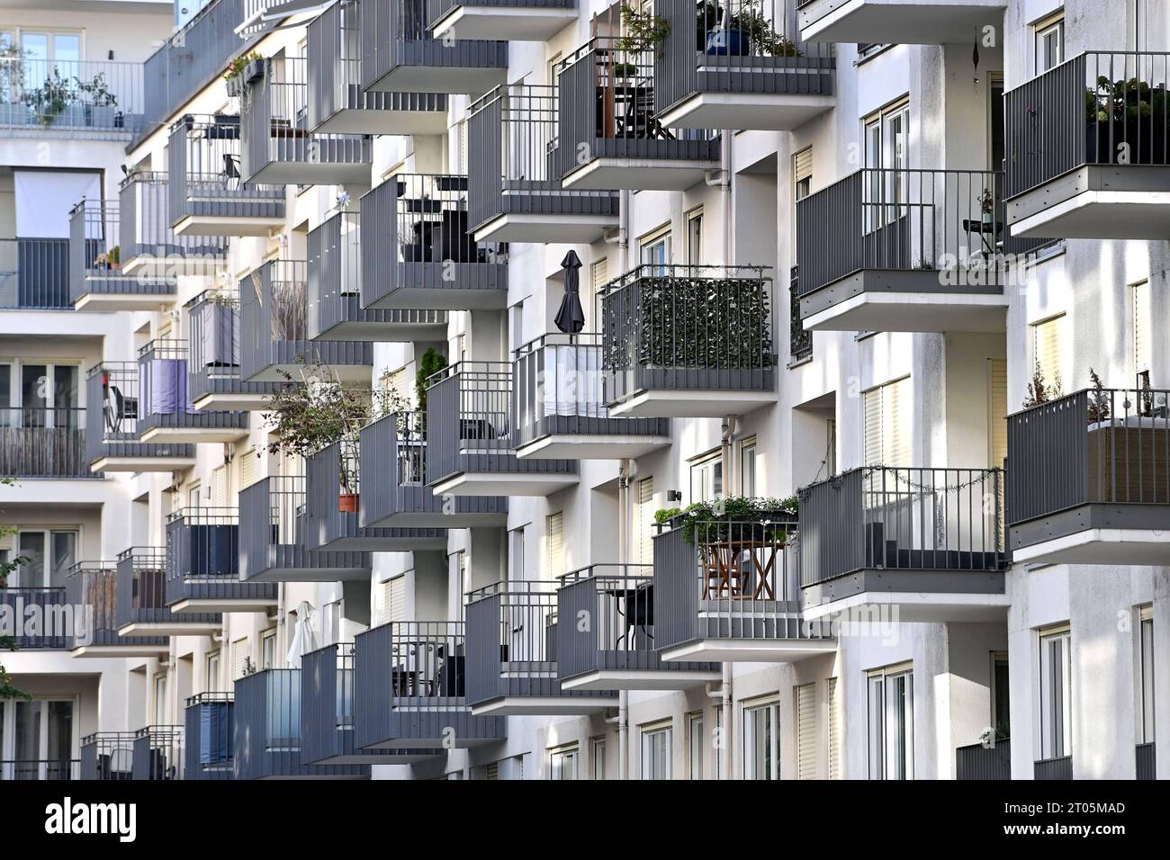 Stadt Muenchen Stadtwohnung im Stadtteil Maxvorstadt. Moderne ...