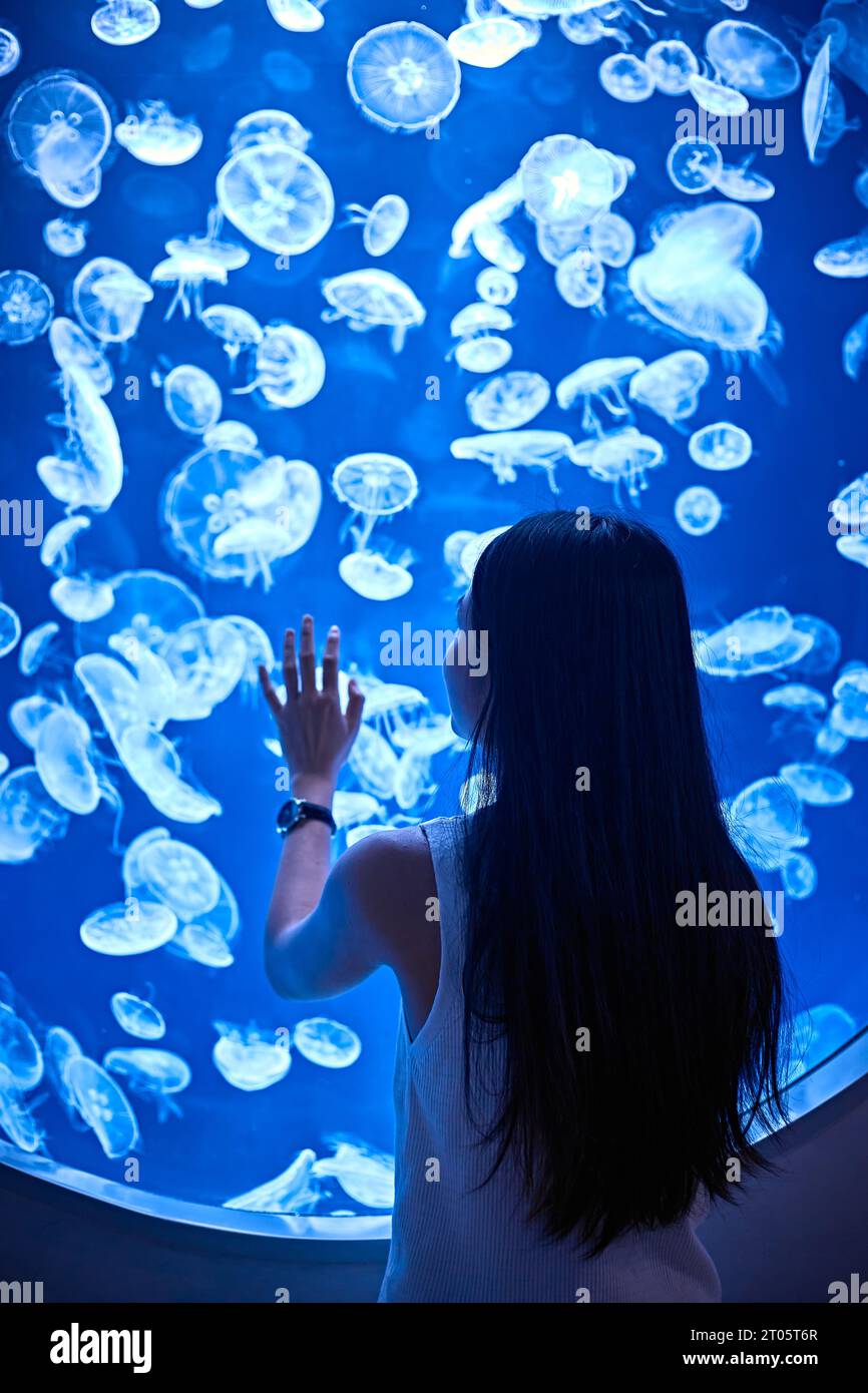Silhouette of a young person looking at a smack of jellyfish swimming ...