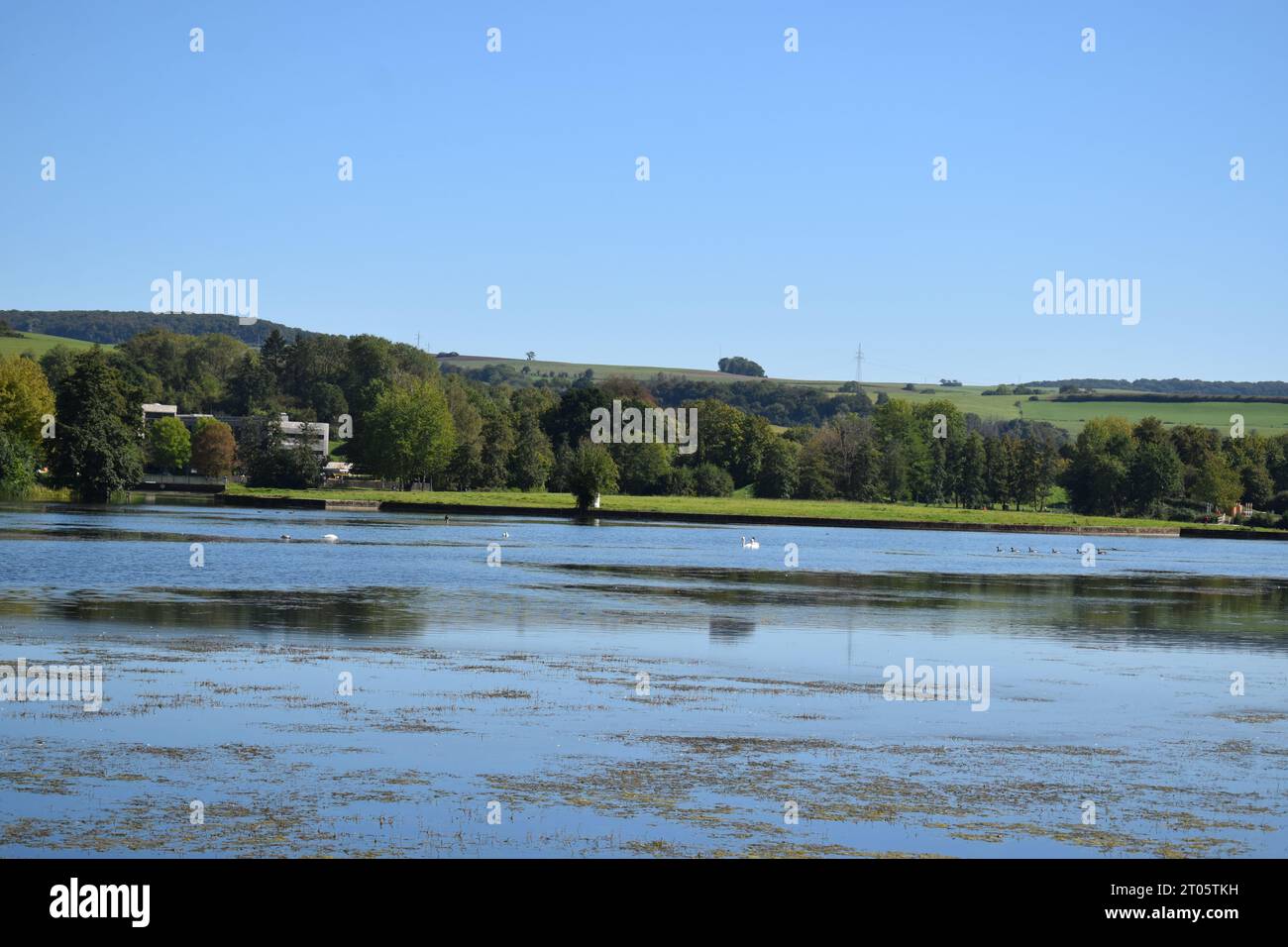 Lac d'Echternach in early autumn Stock Photo - Alamy