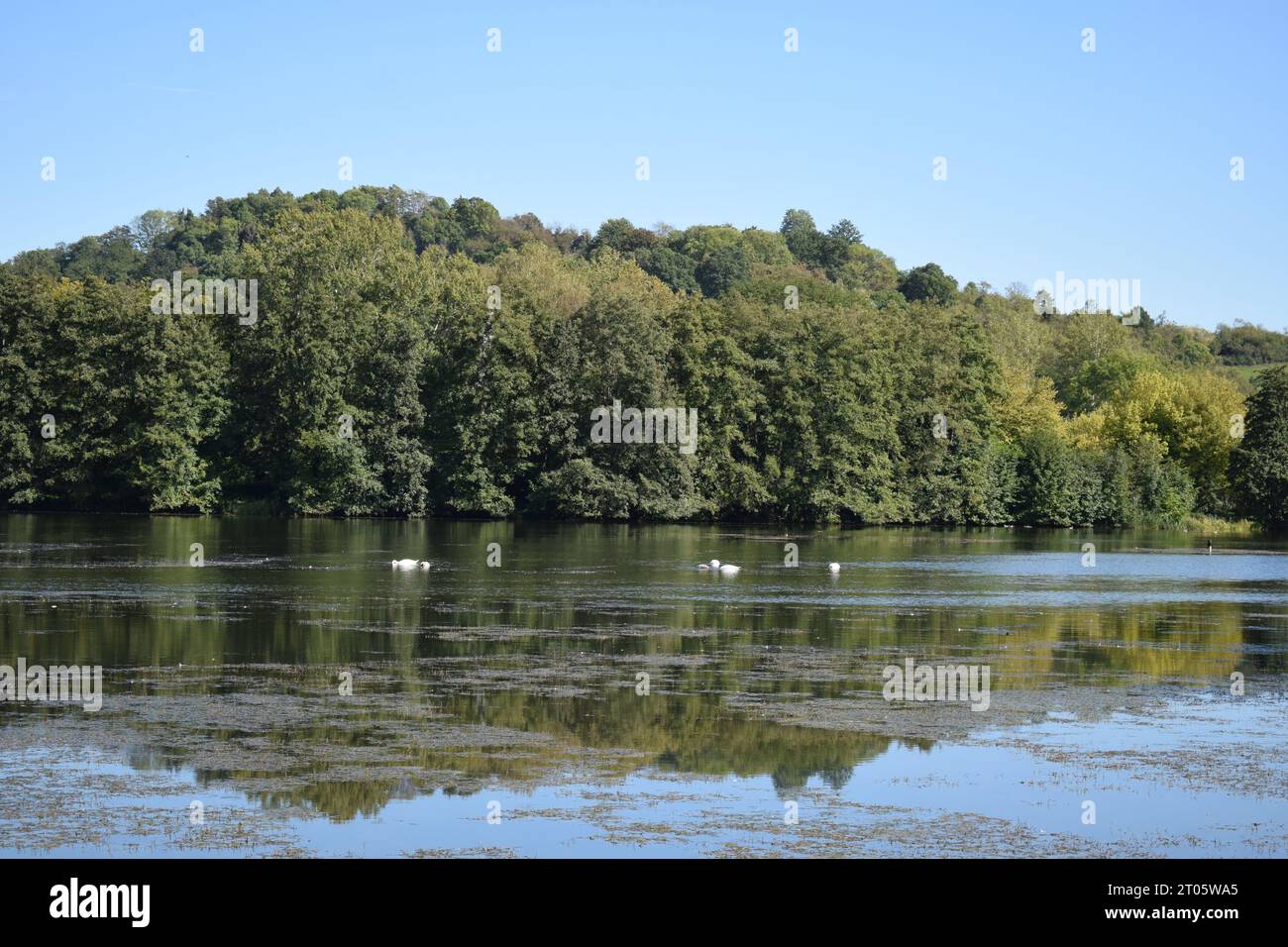 Lac d'Echternach in early autumn Stock Photo - Alamy