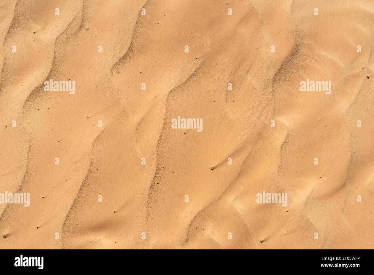 The desert sand texture in the summer sun in Sahara Stock Photo - Alamy