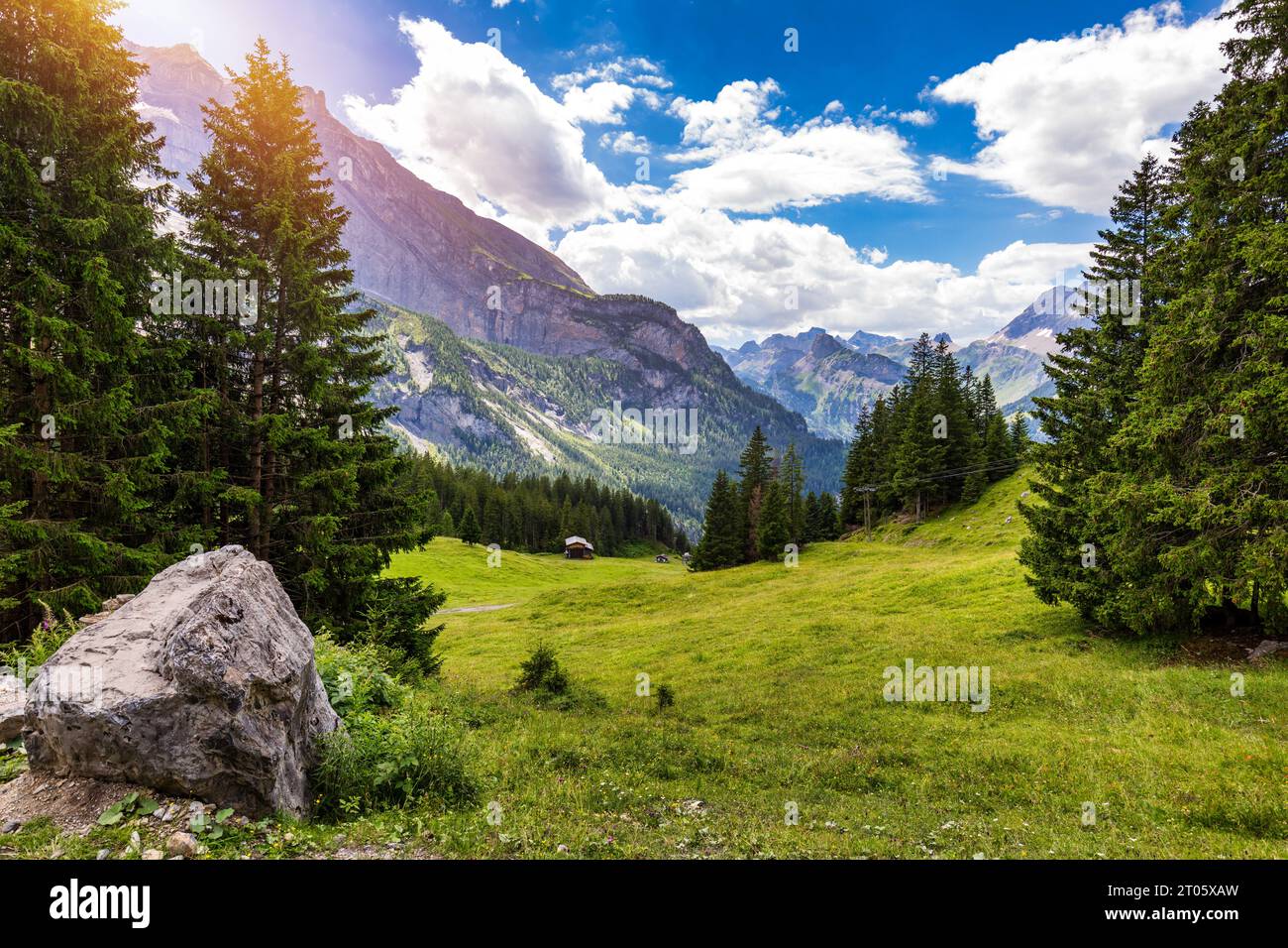 Panoramic view of idyllic mountain scenery in the Alps with fresh green meadows in bloom on a ...