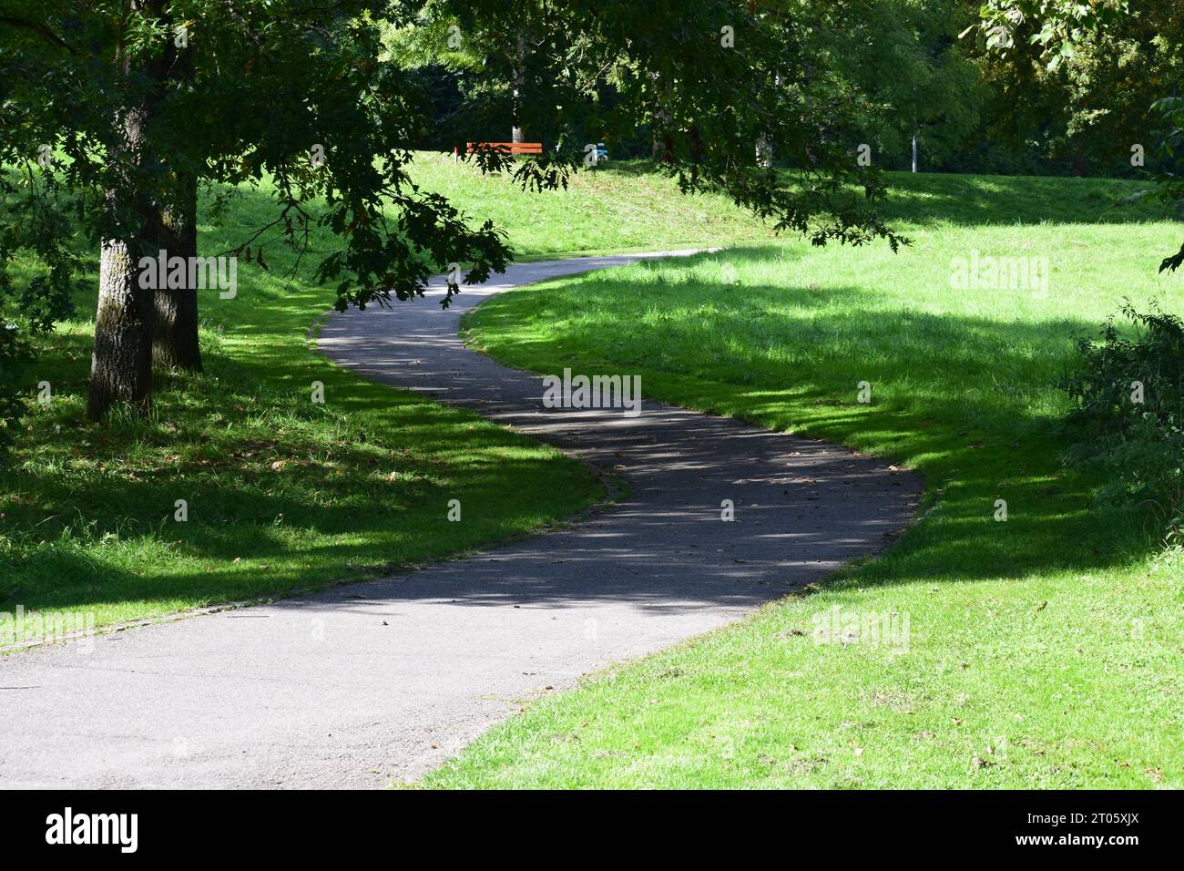 way through a big park in autumn Stock Photo - Alamy