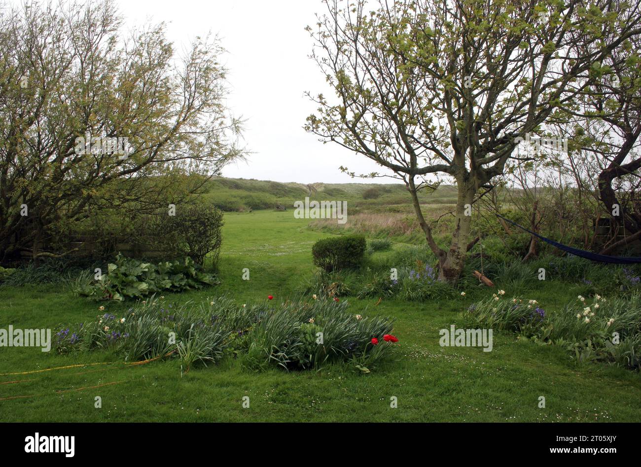 view through garden to coastal dunes Eccles-on-Sea, Norfolk, UK. May ...