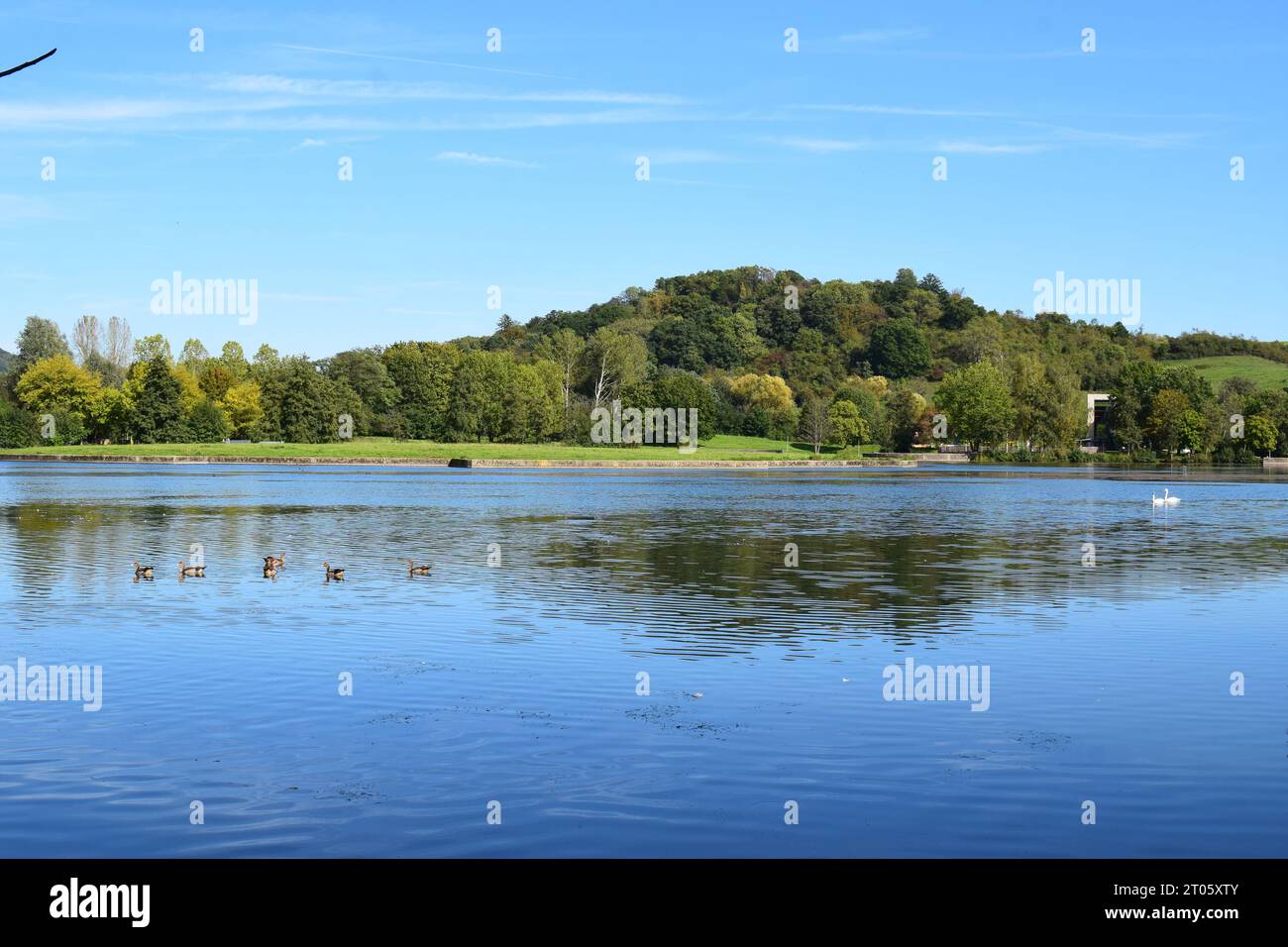 Lac d'Echternach in early autumn Stock Photo - Alamy