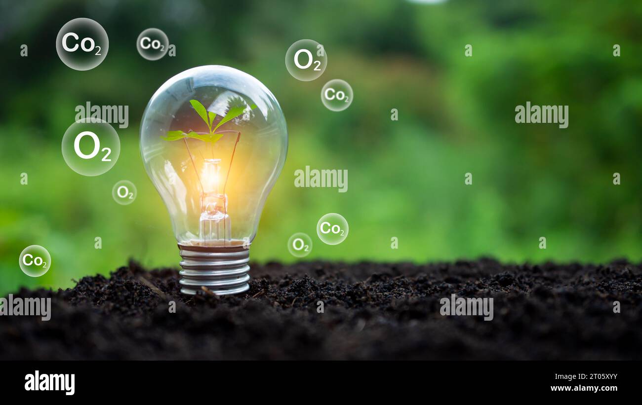 CO2 emission reduction concept, clean and friendly environment without ...