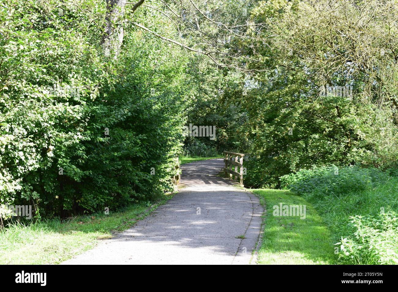Wildlife crossing bridge path way hi-res stock photography and images ...