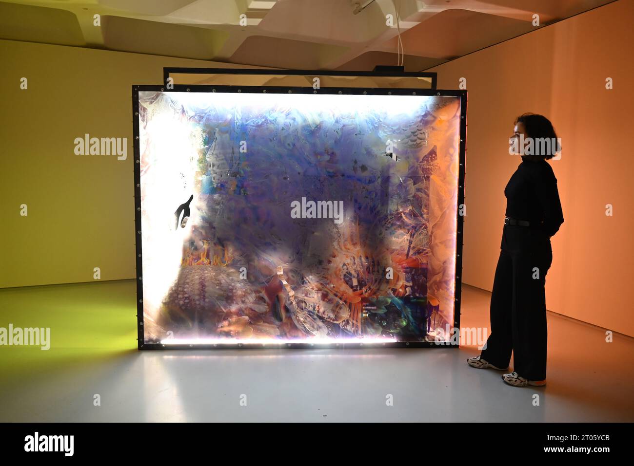 This expansive exhibition brings together photography, film, and ...