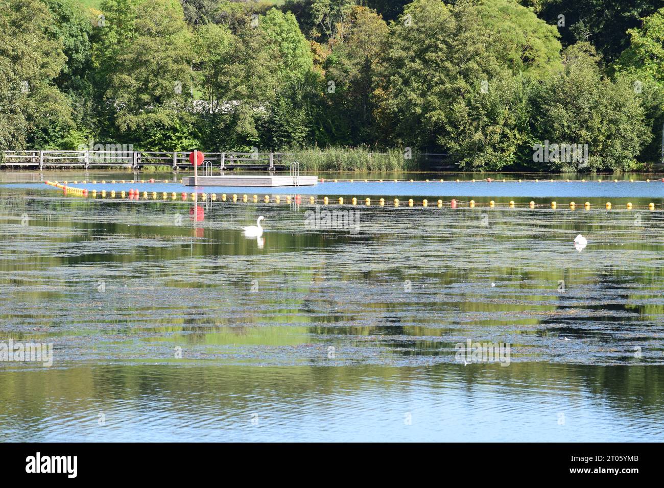 Lac d'Echternach in early autumn Stock Photo - Alamy