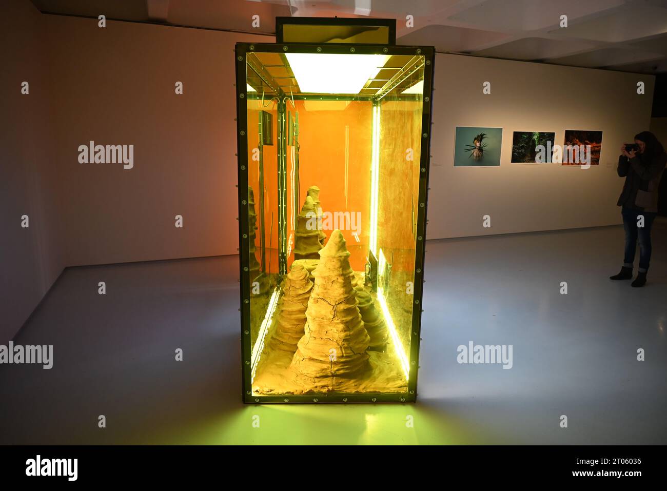 This expansive exhibition brings together photography, film, and ...
