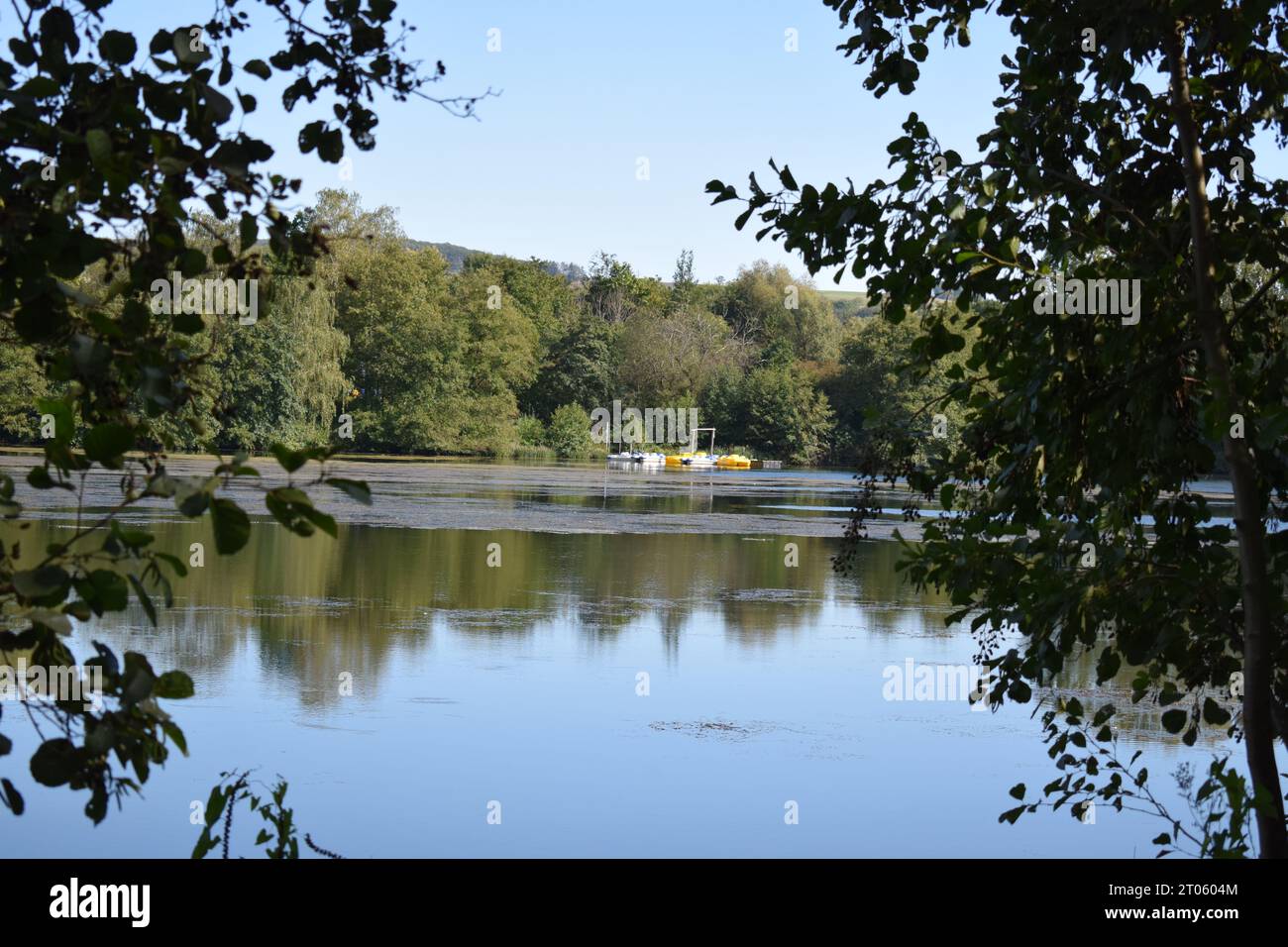 Lac d'Echternach in early autumn Stock Photo - Alamy
