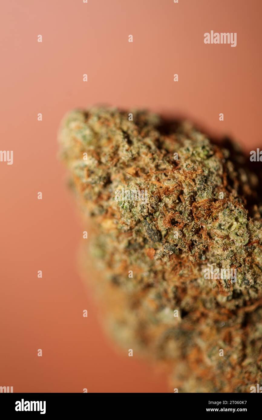 Cannabis medical bud super lemon haze close up stoned time high moments ...