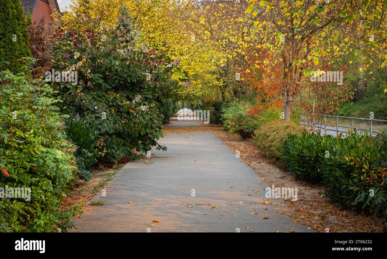 Beautiful alley in the park with colorful trees. Stone Pathway in a ...