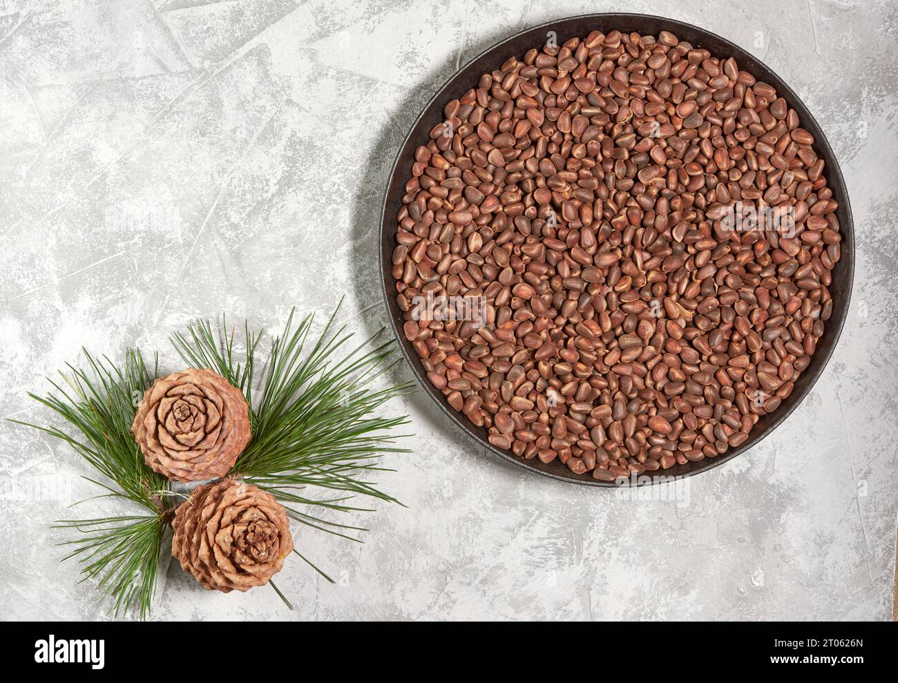 Cedar or pine nuts in a bowl with cones on gray background and a branch ...