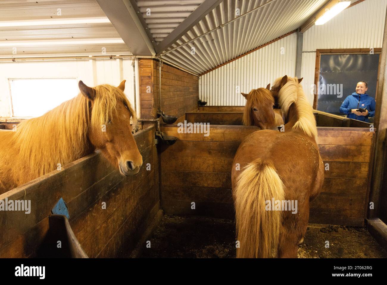 Stables iceland hi-res stock photography and images - Alamy