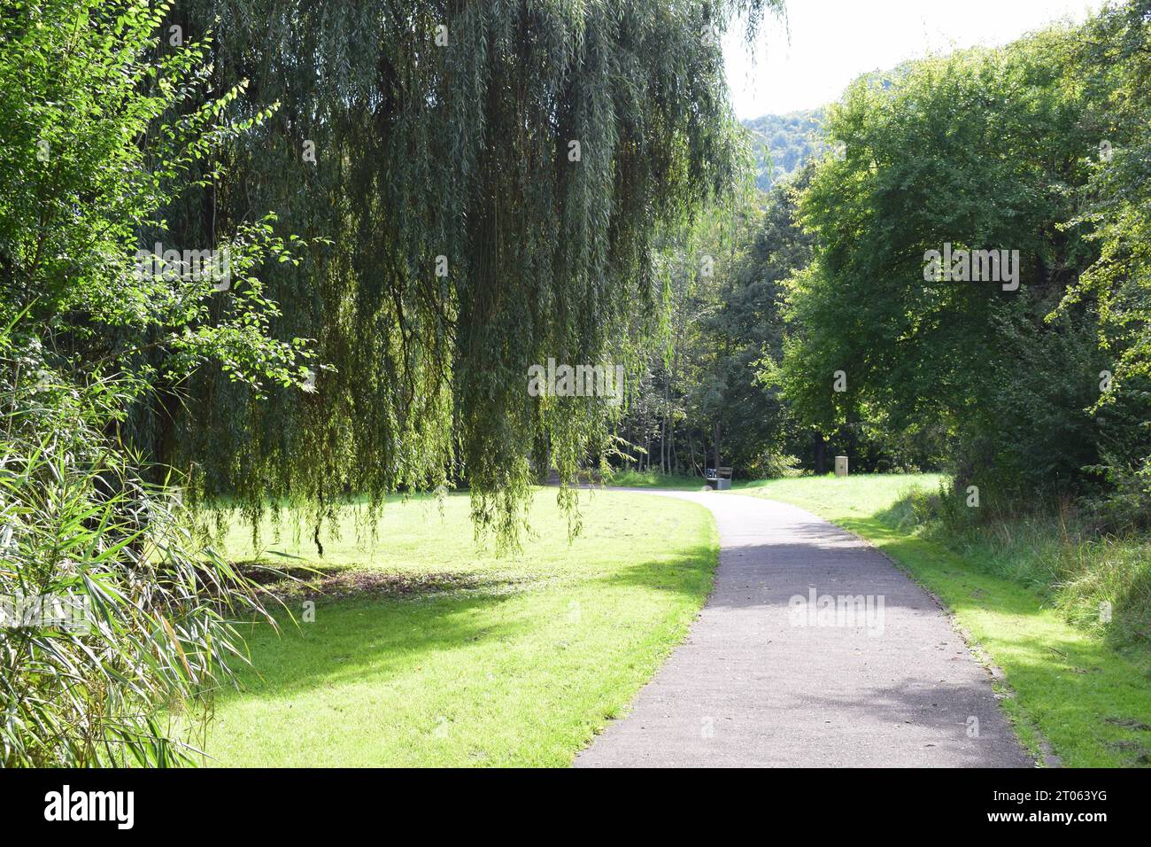 way through a big park in autumn Stock Photo - Alamy