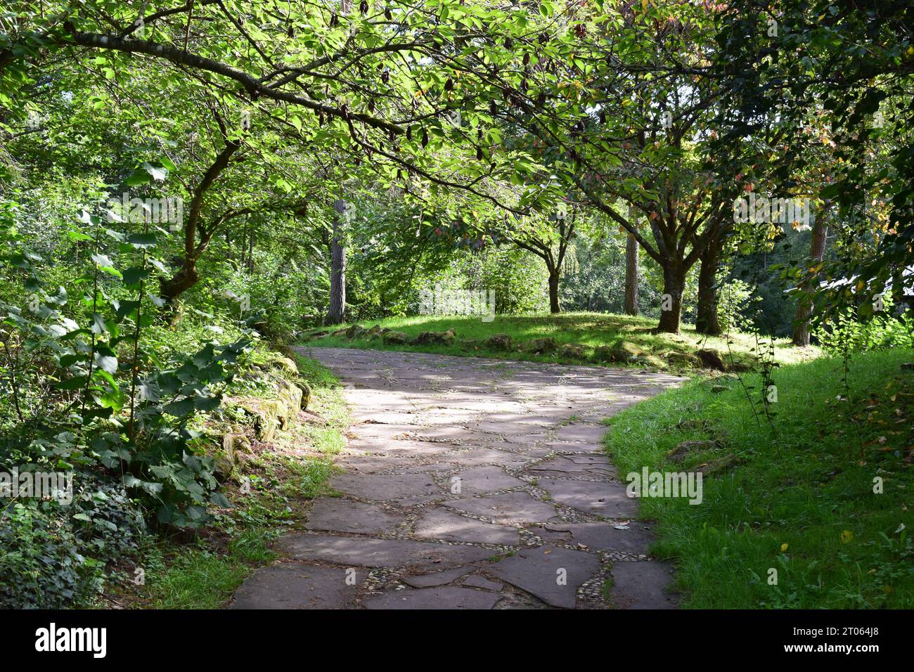 way through a big park in autumn Stock Photo - Alamy