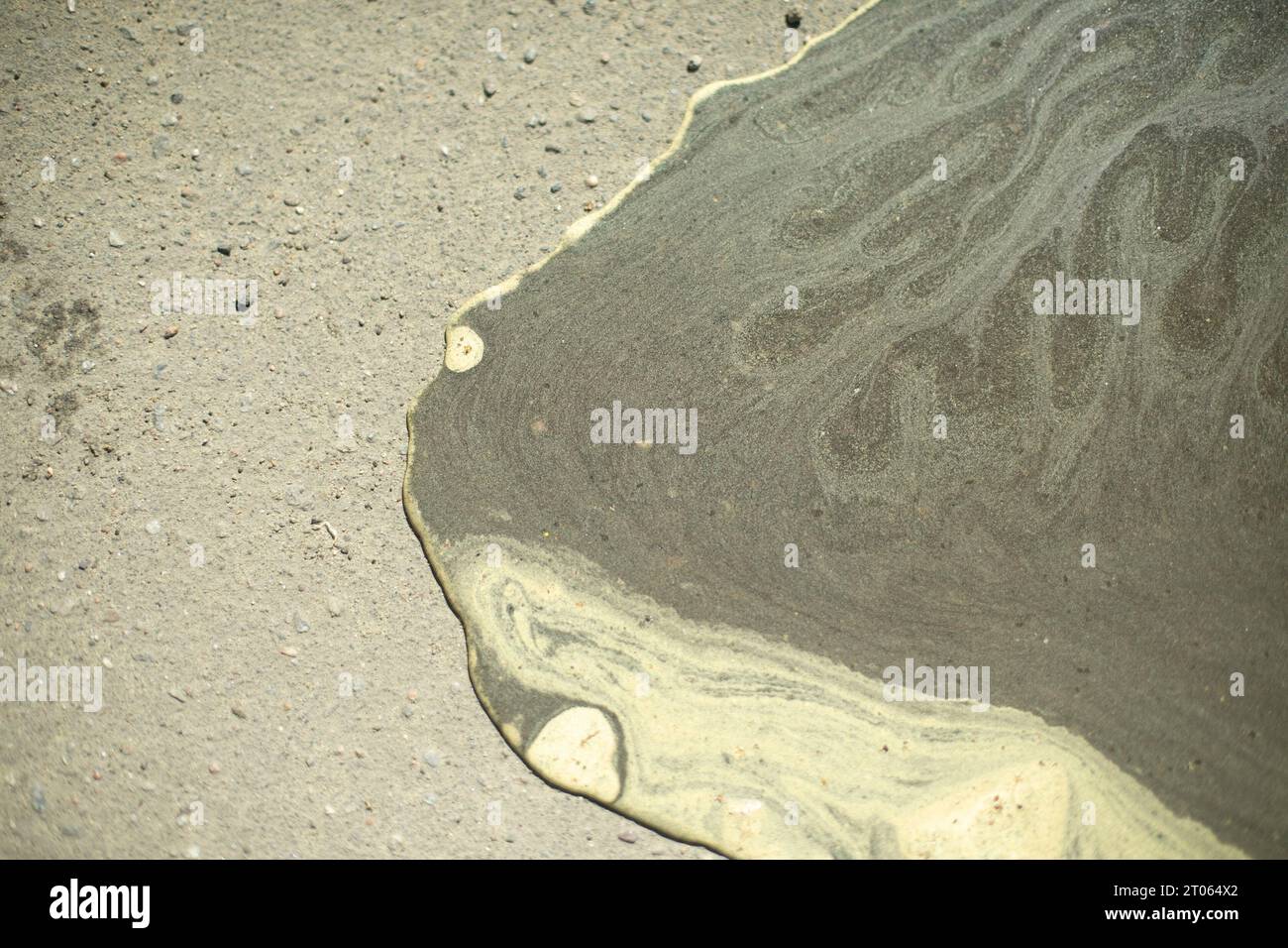 Water on asphalt. Pollen from plants in water. Puddle in road. Flow of ...