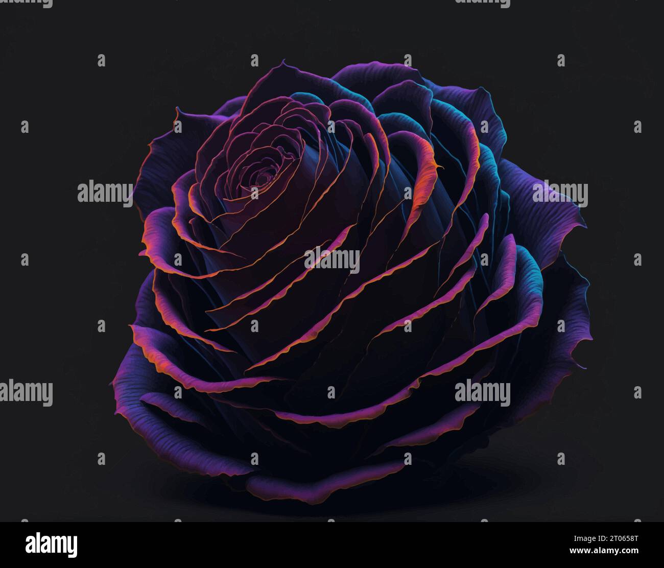 Roses vector vectors hi-res stock photography and images - Alamy