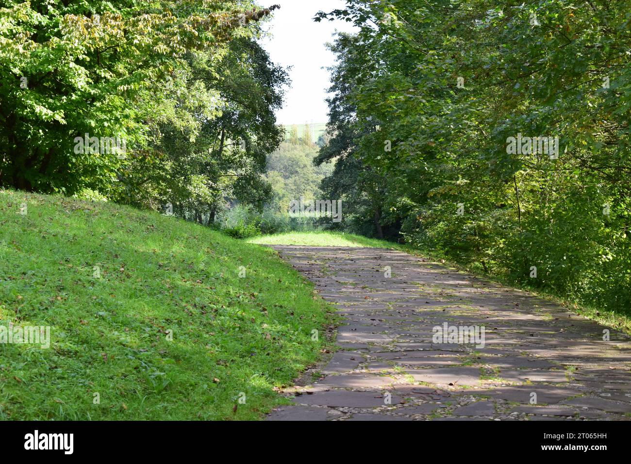 way through a big park in autumn Stock Photo - Alamy