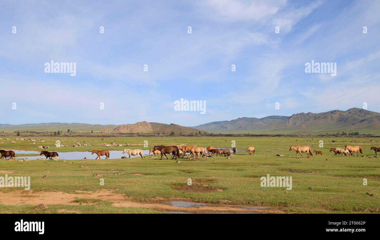 Orkhon valley unesco world heritage site hi-res stock photography and ...