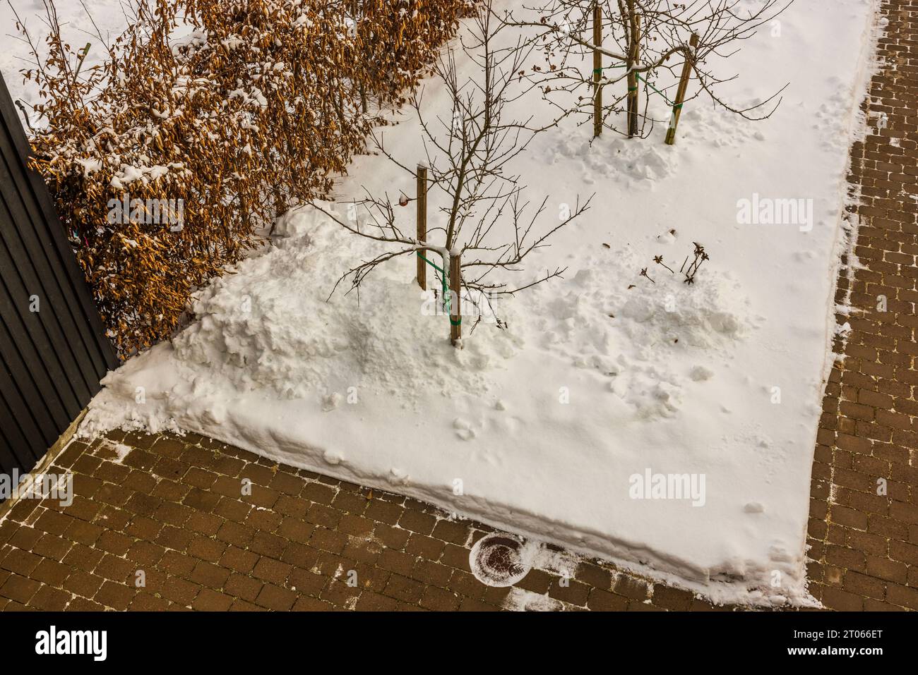 Top view of garden with paving slab path cleared of snow in snow ...