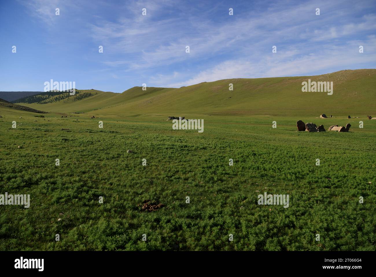 Deer stone monuments and square graves of Temeen Chuluu, Mongolia Stock ...