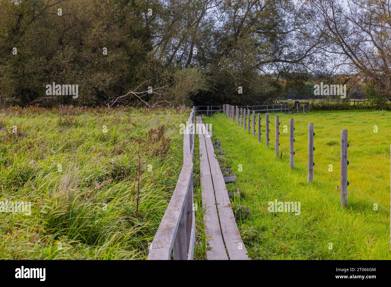 Woods wooden fence railing hi-res stock photography and images - Alamy