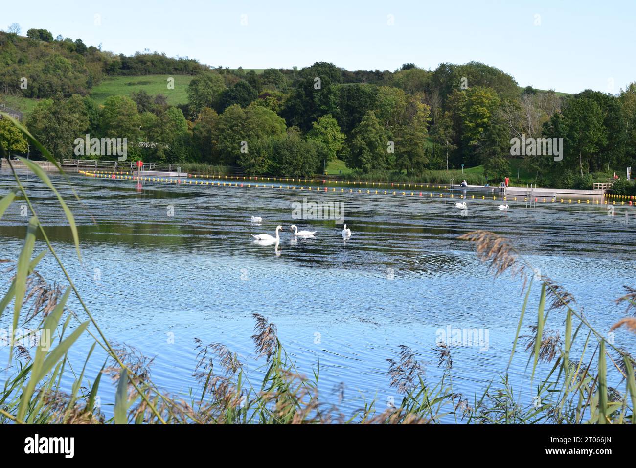 Lac d'Echternach in early autumn Stock Photo - Alamy