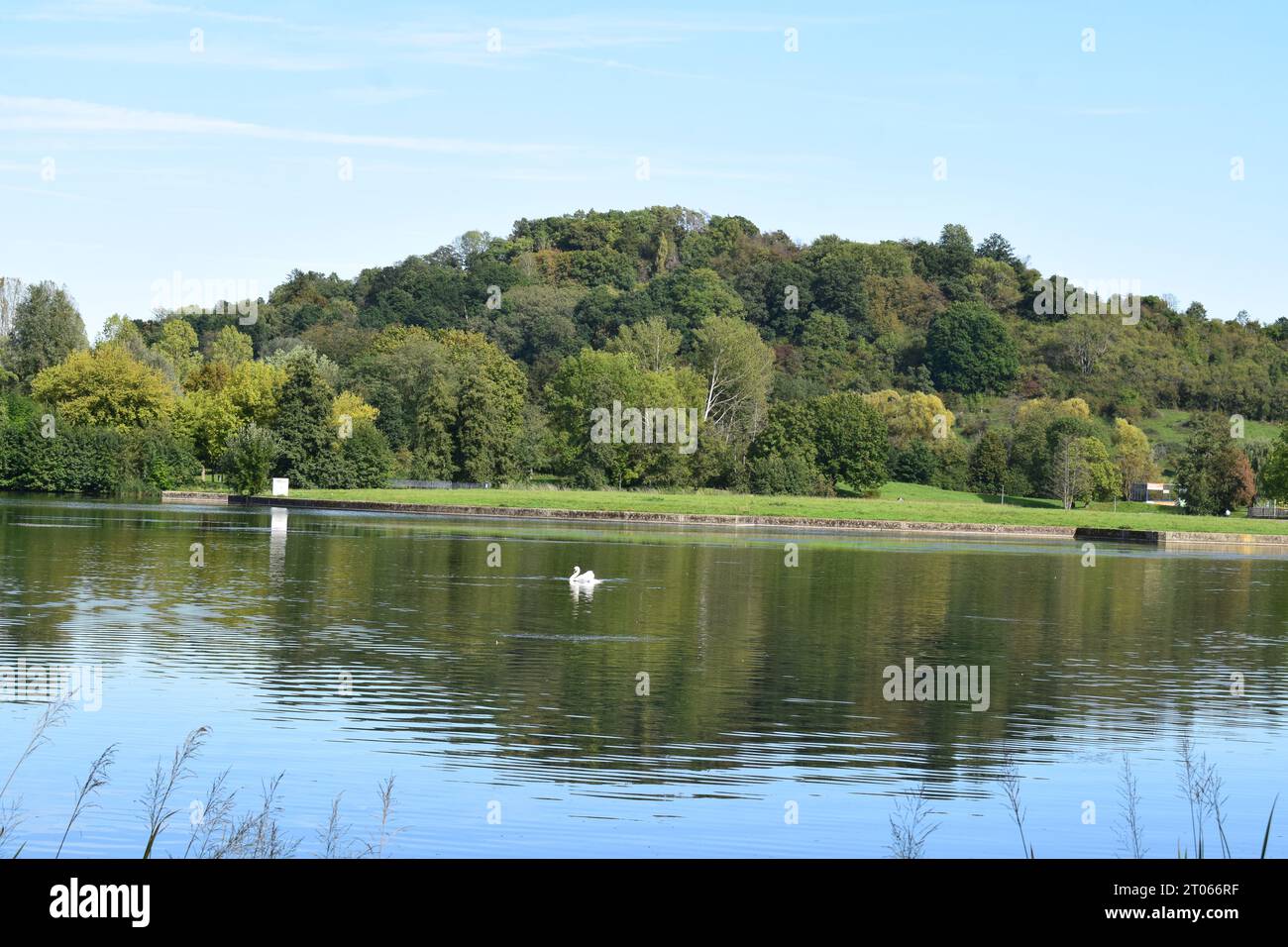 Lac d'Echternach in early autumn Stock Photo - Alamy