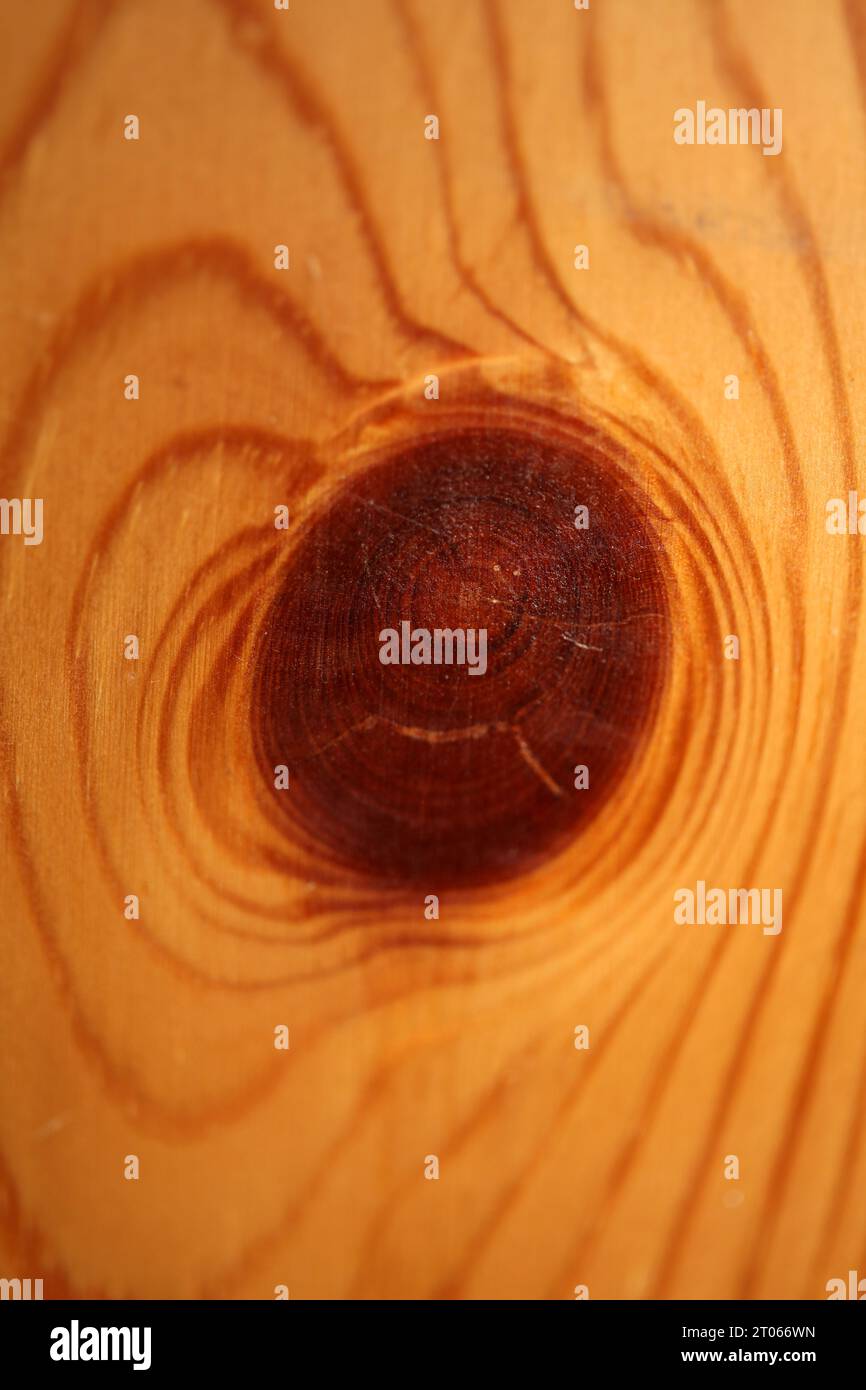 Wooden lacked brown surface macro close abstract texture plate of pine ...