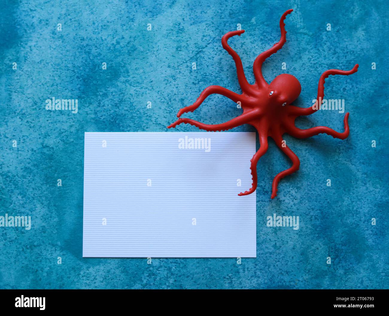 Octopus card hi-res stock photography and images - Alamy