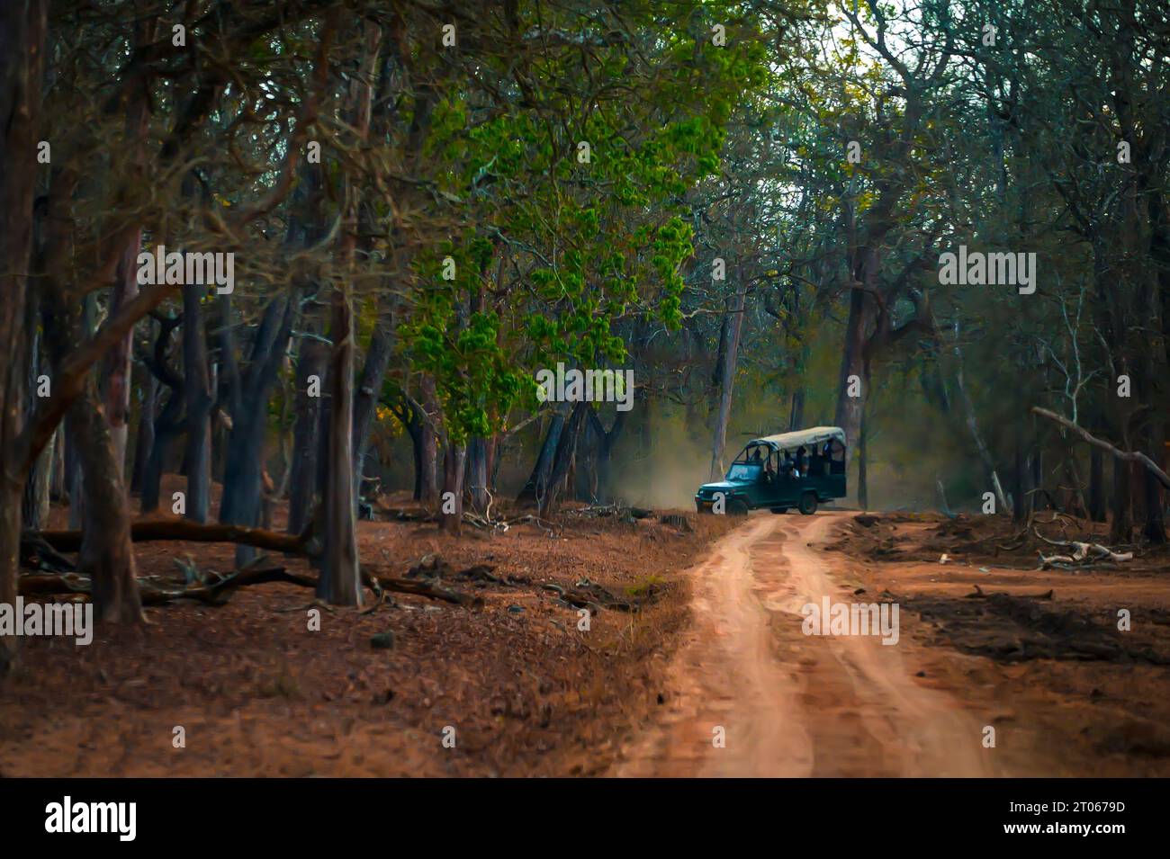 Beautiful surroundings hiking trail hi-res stock photography and images ...