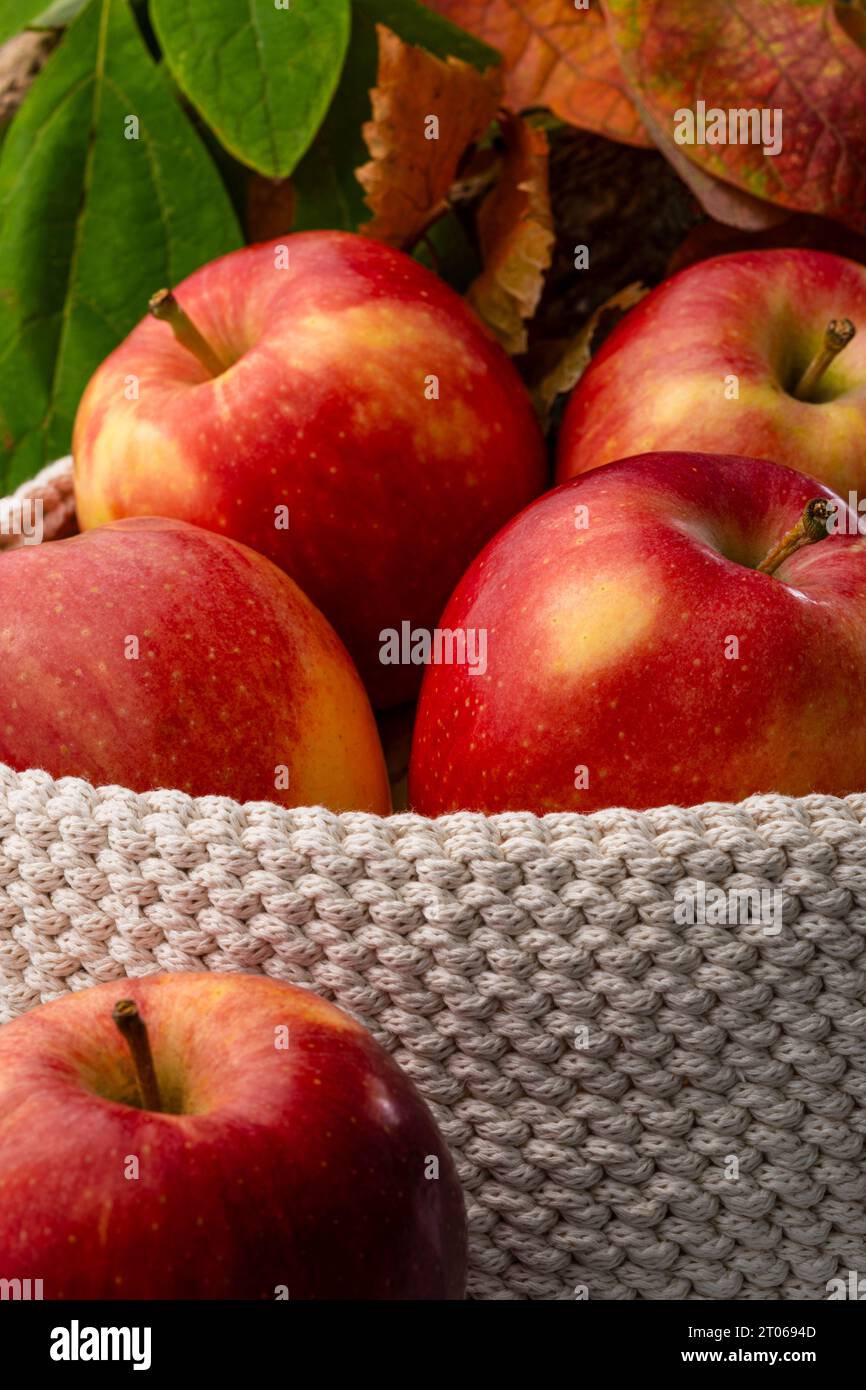 Basket nutritious hi-res stock photography and images - Alamy