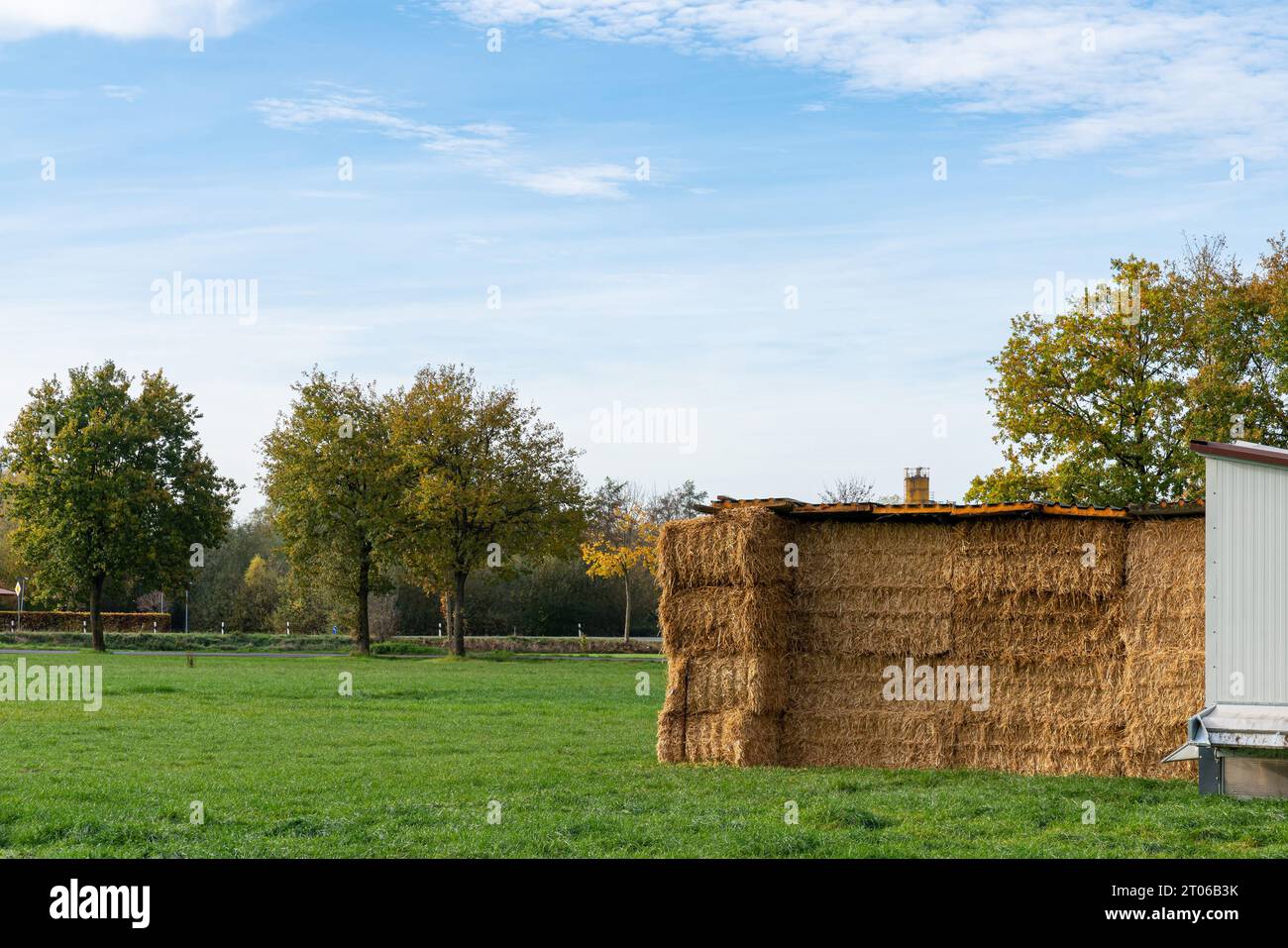 Stacked bales of freshly cut hay on a green lawn under a blue sky with ...