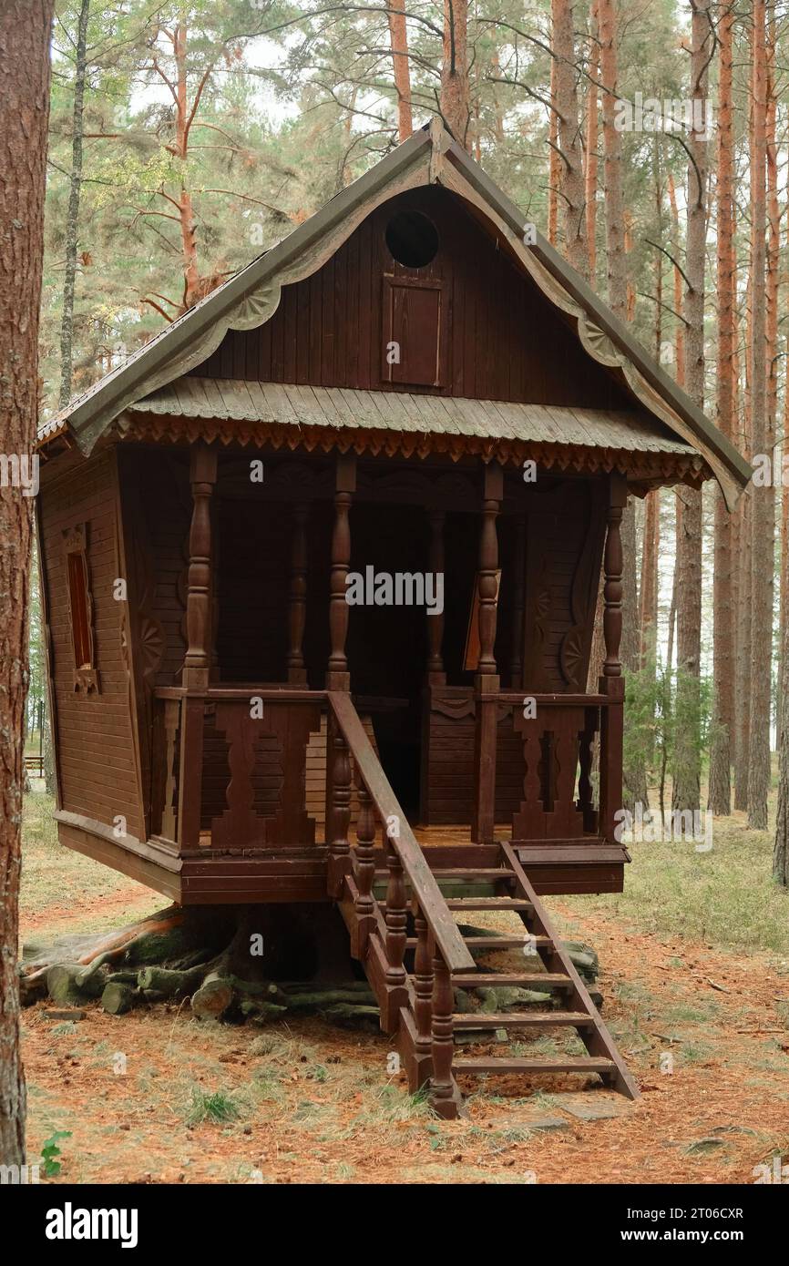 Spooky and Beautiful hut on a tree stump in the forest. The concept of ...