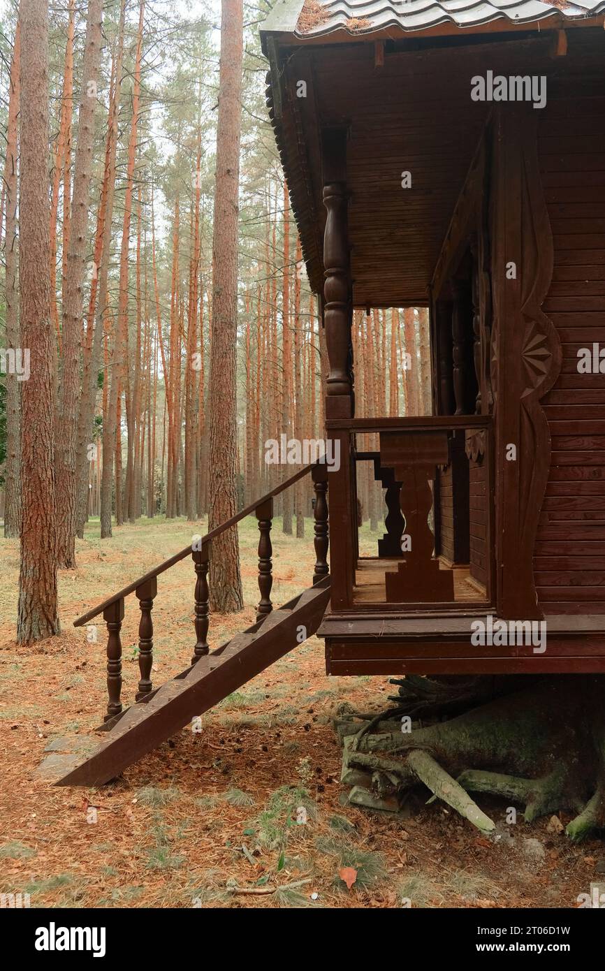 Spooky and Beautiful hut on a tree stump in the forest. The concept of ...