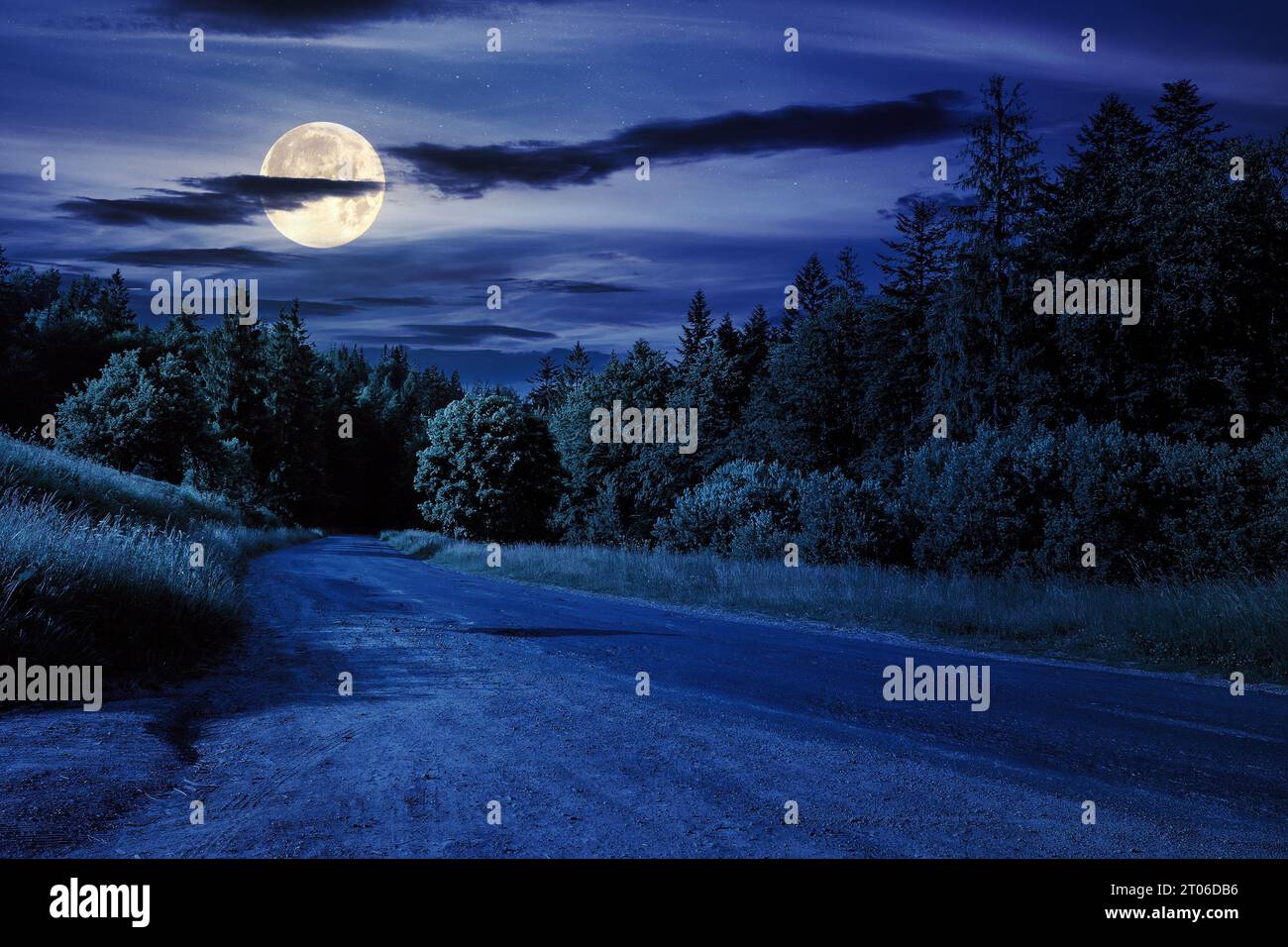 asphalt road with cracks winding through shaded coniferous forest at ...