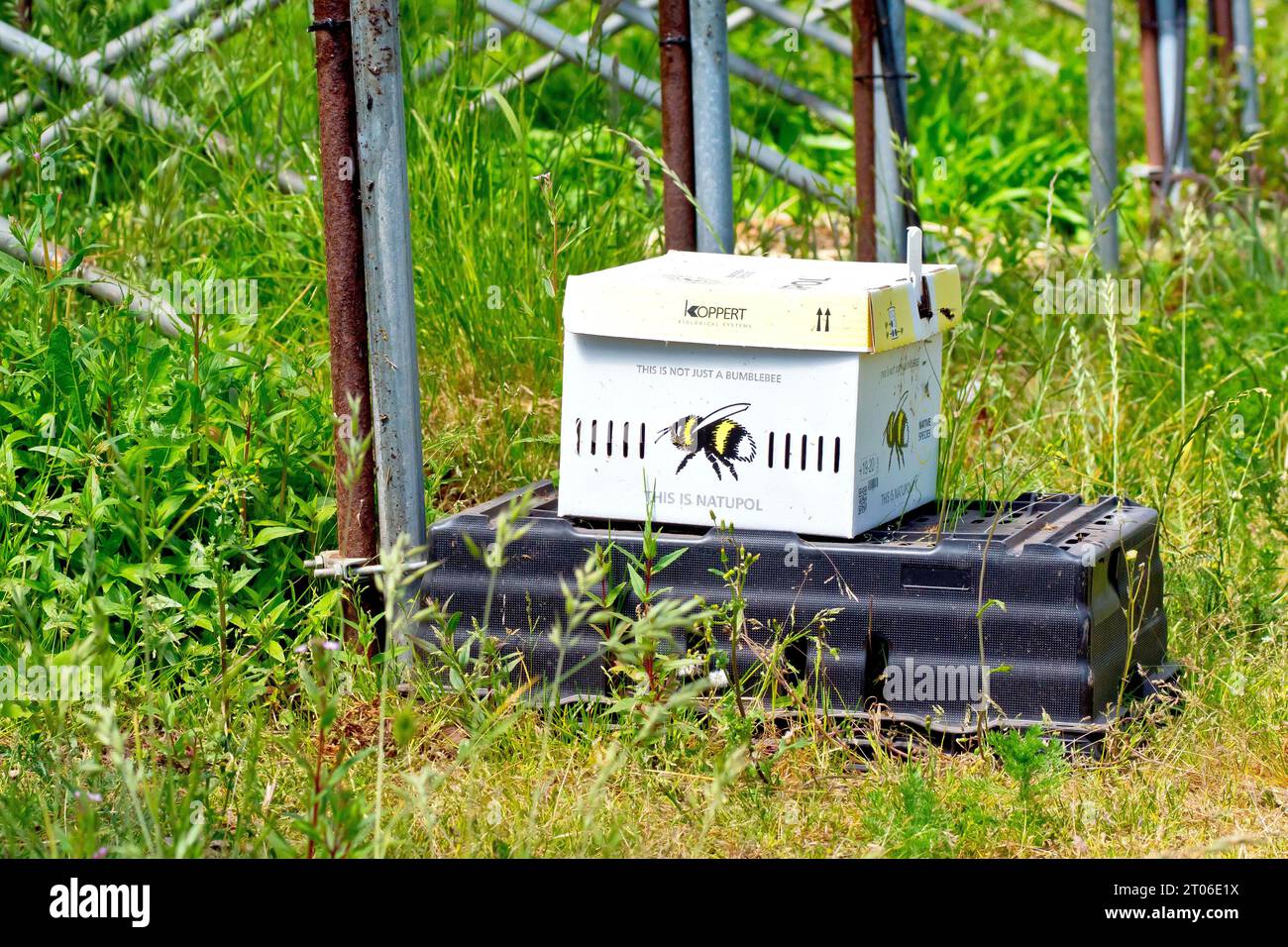 Close up of a box of Natupol bumblebees supplied by Koppert Biological ...