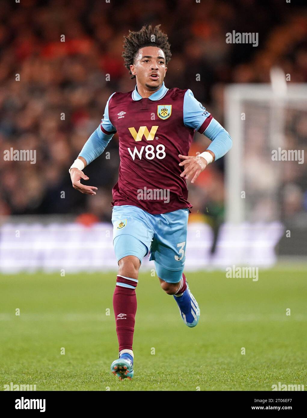 Luca koleosho hi-res stock photography and images - Alamy