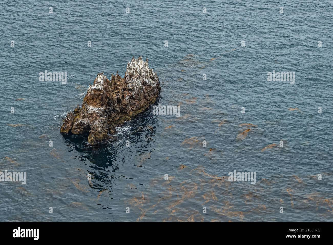 Santa Cruz Island, CA, USA - September 14, 2023: white guano covered ...