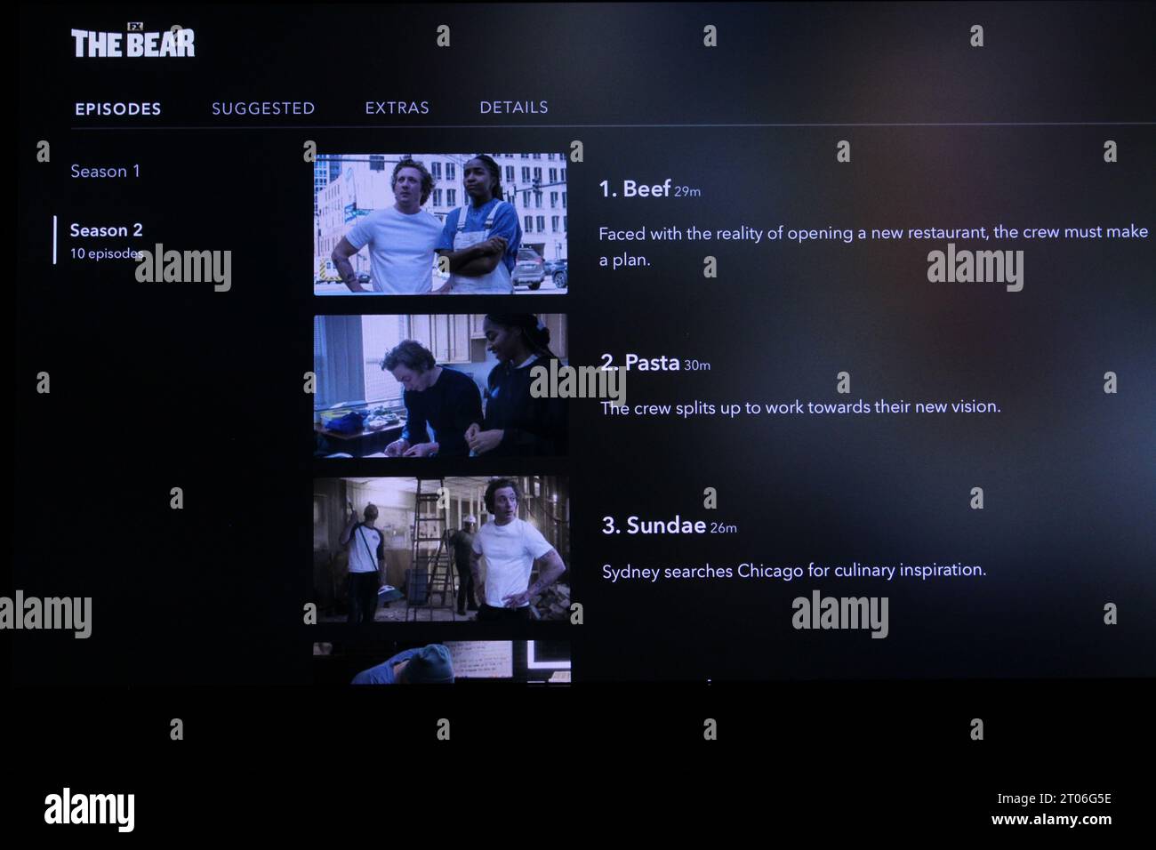 The Bear available for streaming on Disney Plus Stock Photo - Alamy