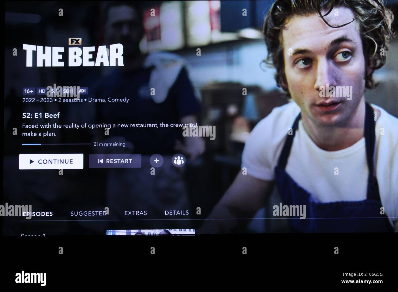 The Bear available for streaming on Disney Plus Stock Photo - Alamy