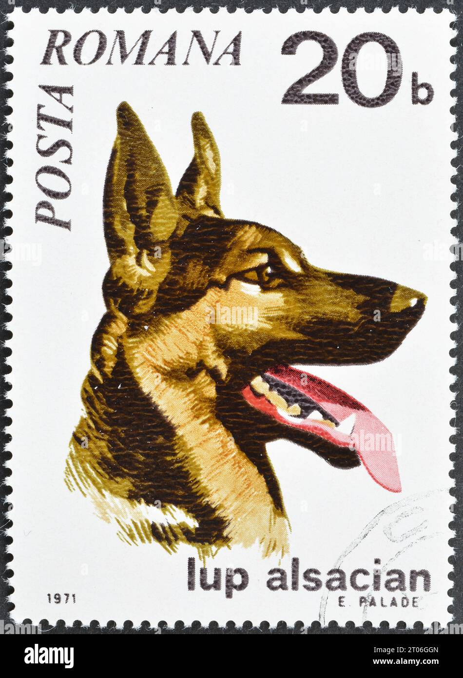 Cancelled postage stamp printed by Romania, that shows German Shepherd ...
