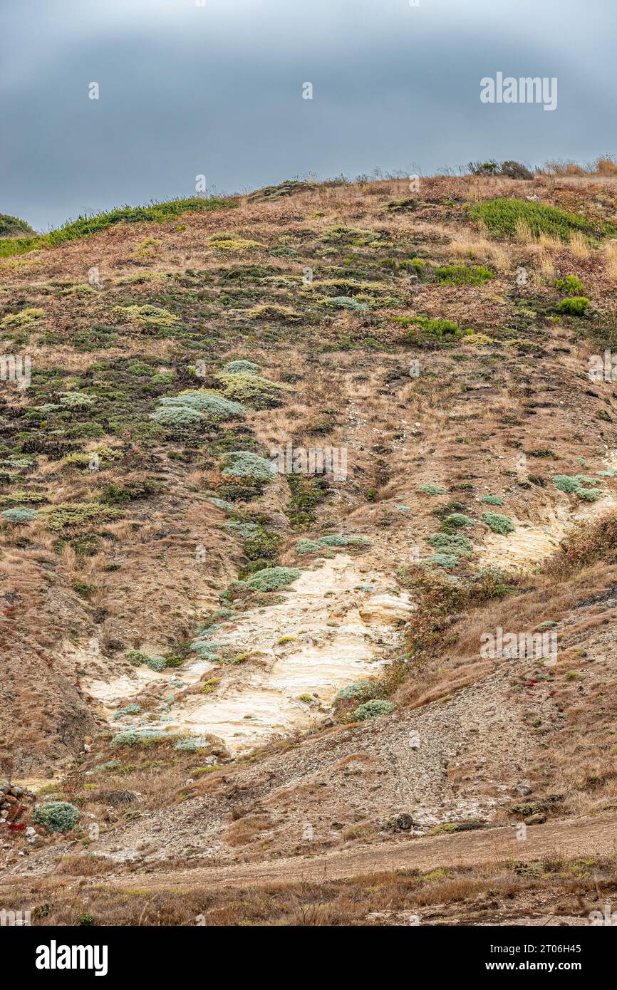 Santa Cruz Island, CA, USA - September 14, 2023: White underlaying rock ...
